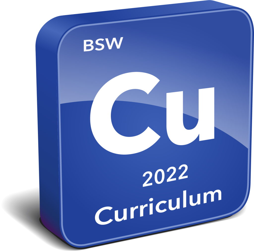 BSW Curriculum Instrument – Social Work Education Assessment Project