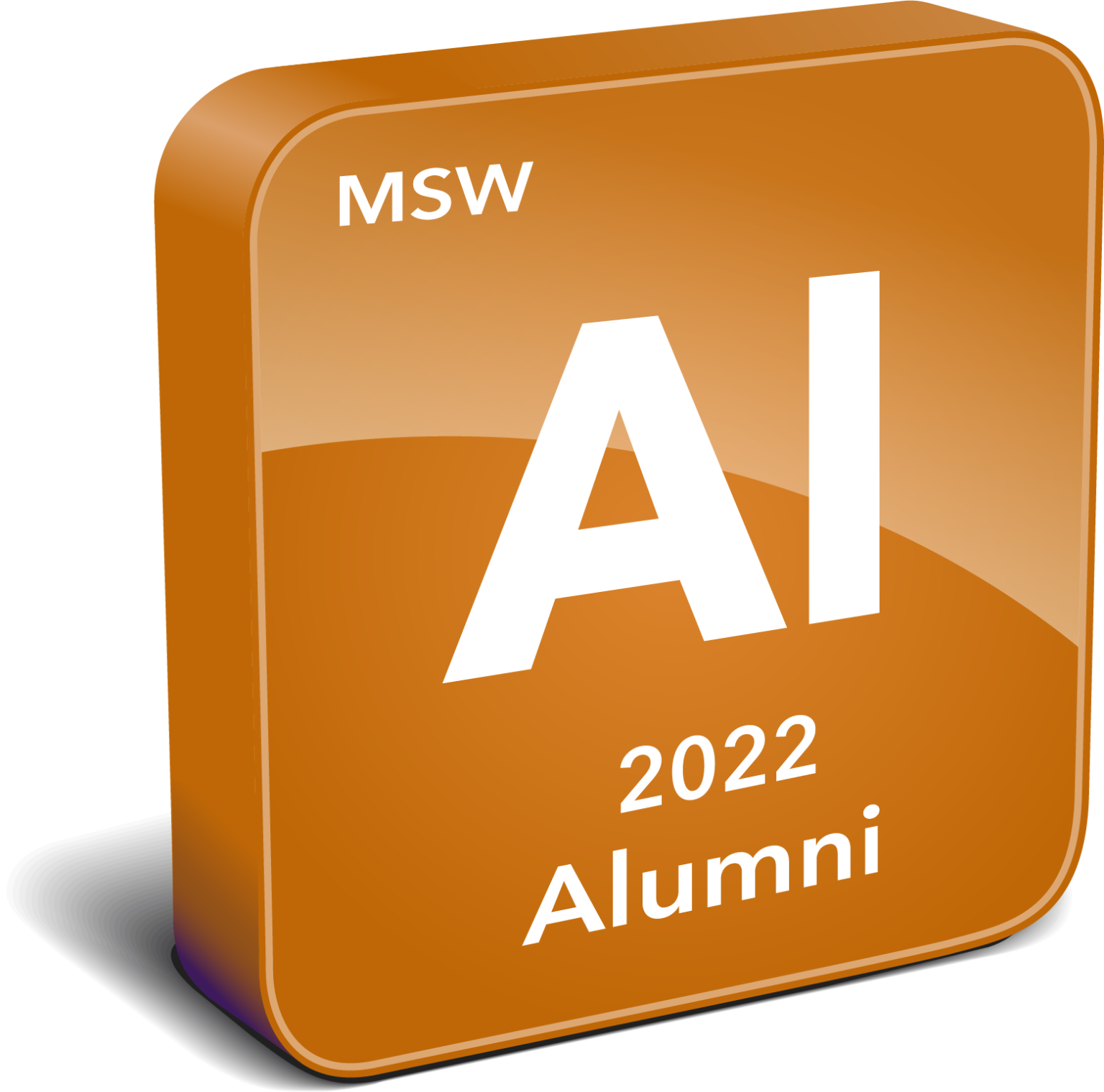 MSW Alumni Survey Social Work Education Assessment Project