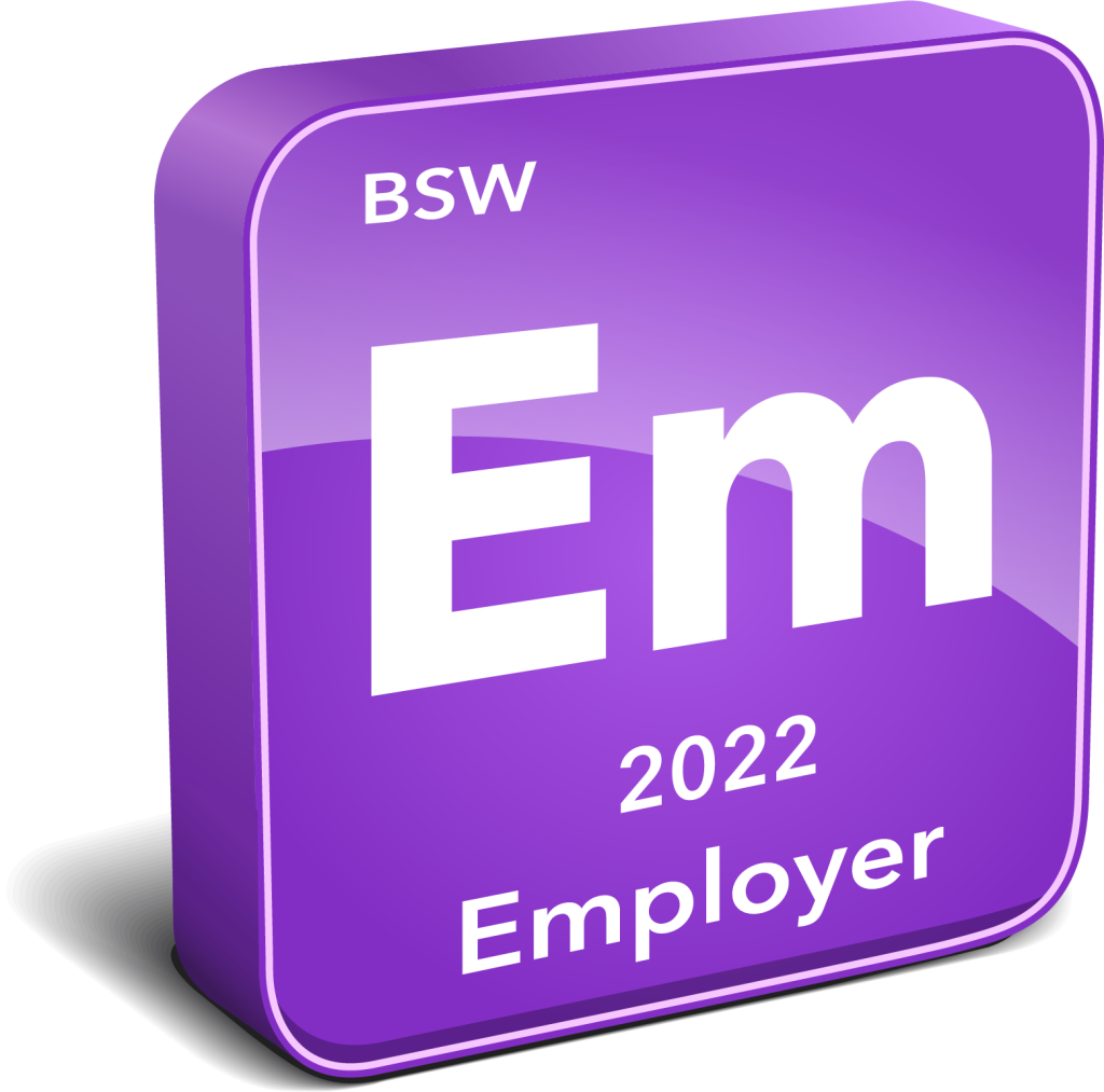 BSW ADEI Instrument – Social Work Education Assessment Project